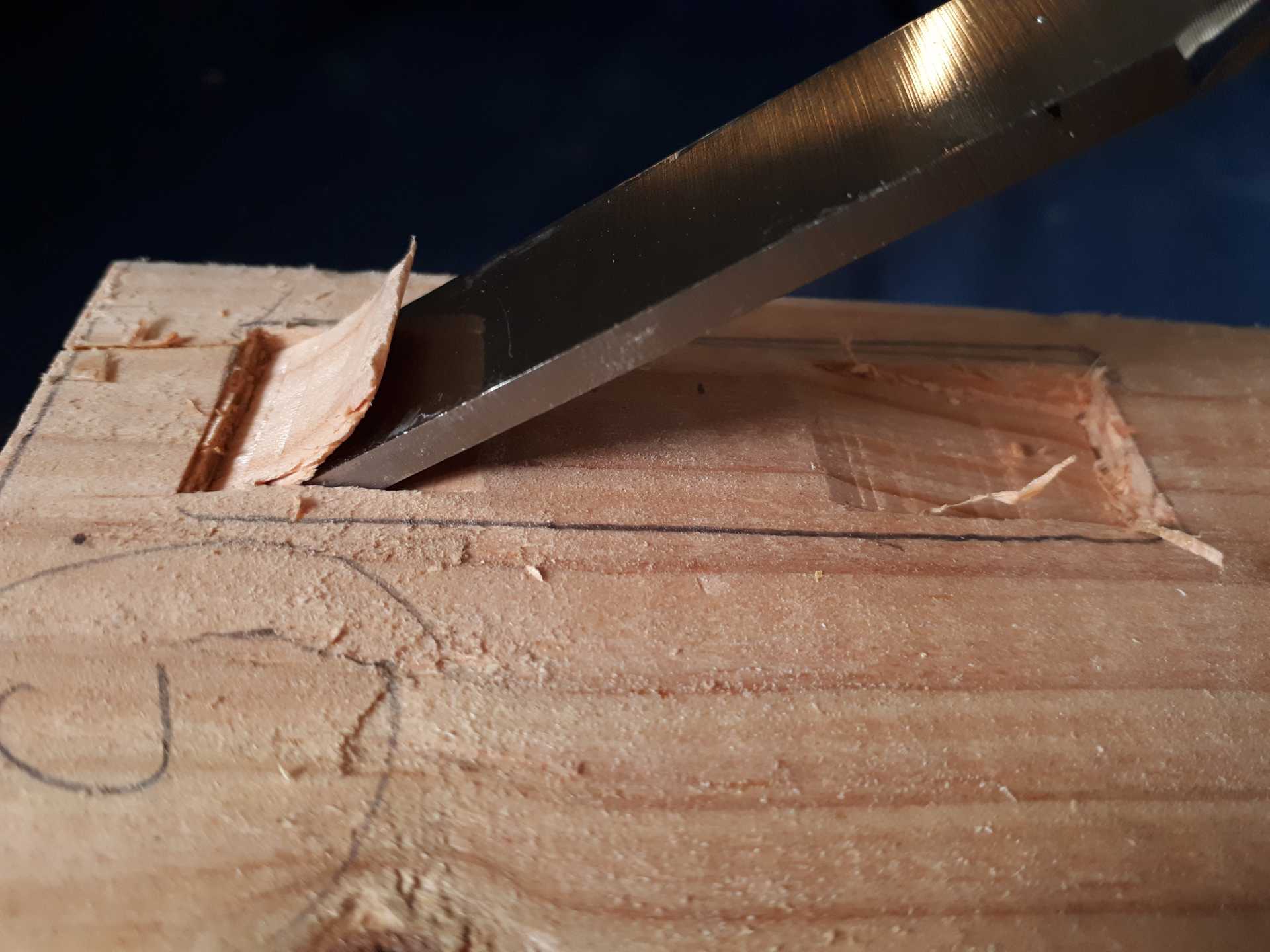 A Roubo Workbench Chronicle - Laura Domine